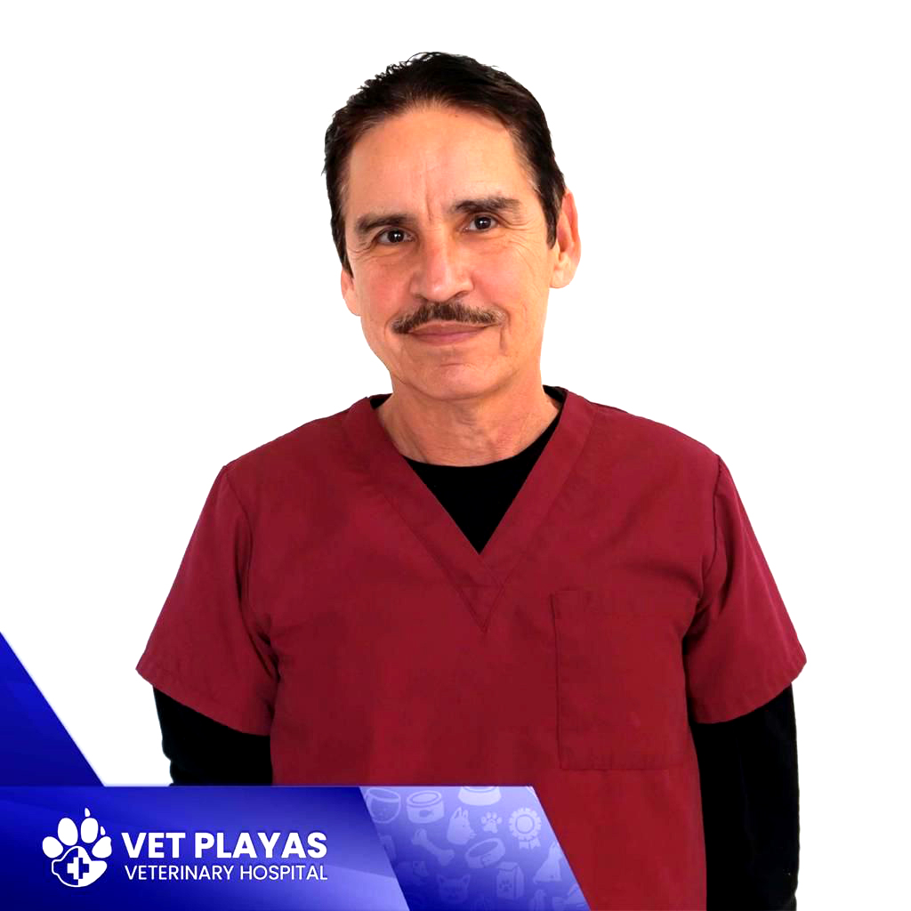 staff – Vet Playas Veterinary Hospital